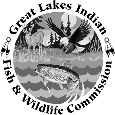 Oneida Nation - Wisconsin First Nations